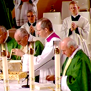 Fr. David Friel At The Papal Masses (Part 2)
