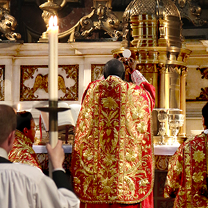 Photograph • Robert Cardinal Sarah “Ad Orientem”