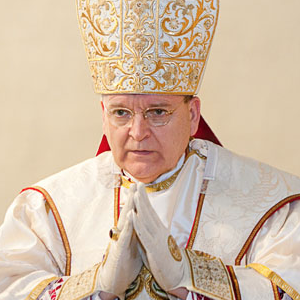 “The Experience After The Council Was So Strong And In Some Cases ...