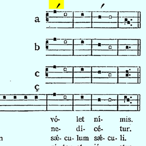 How Serious Are They About The Accent?