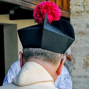 Initial Response To Pope Francis’ Recent Actions Regarding Monsignori