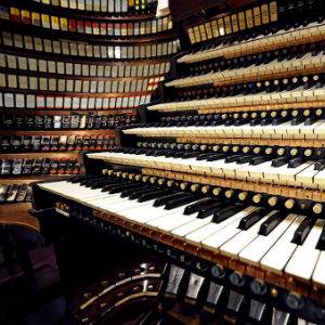 Exploring the World’s Largest Musical Instrument