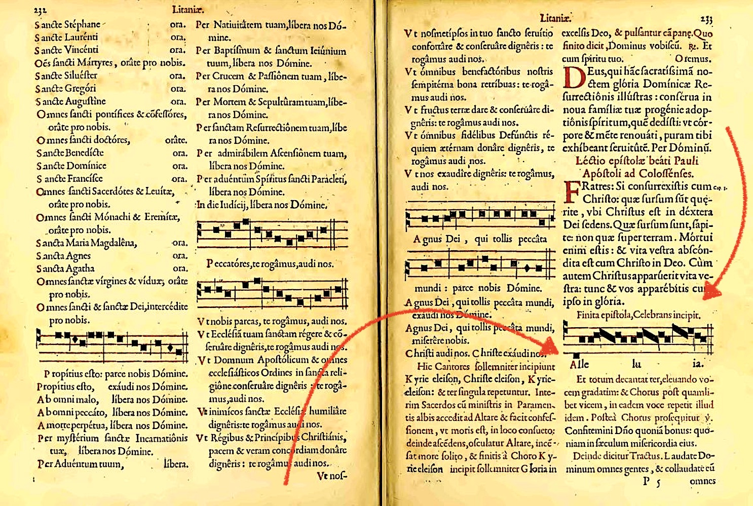 78558 Alleluia Holy Saturday