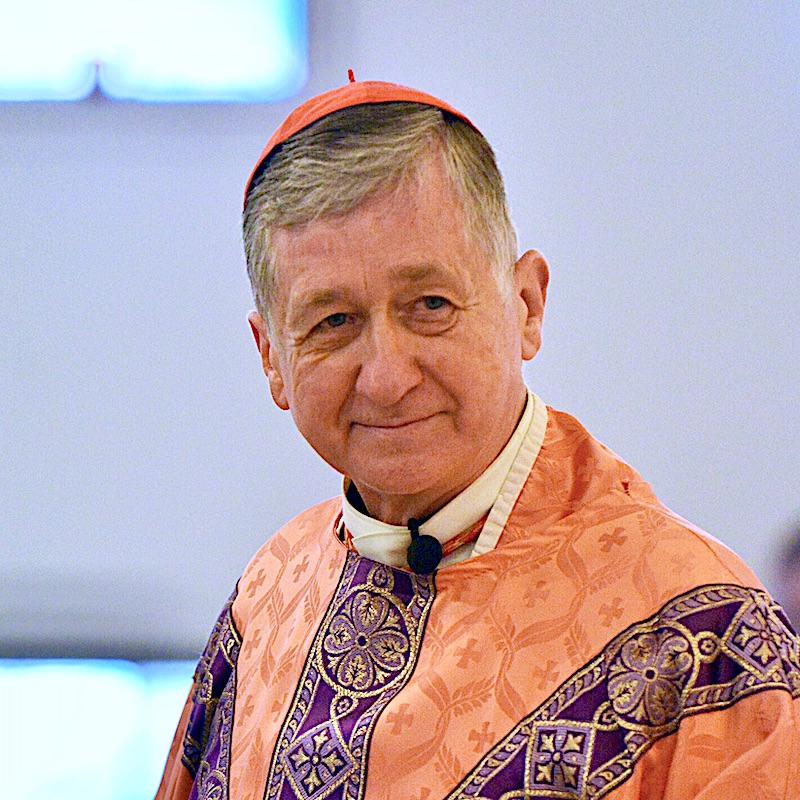 Cardinal Cupich Responds To Our Article!