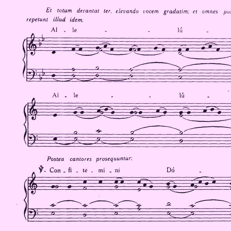 The Official Chant Rhythm • “How Does It Sound?”