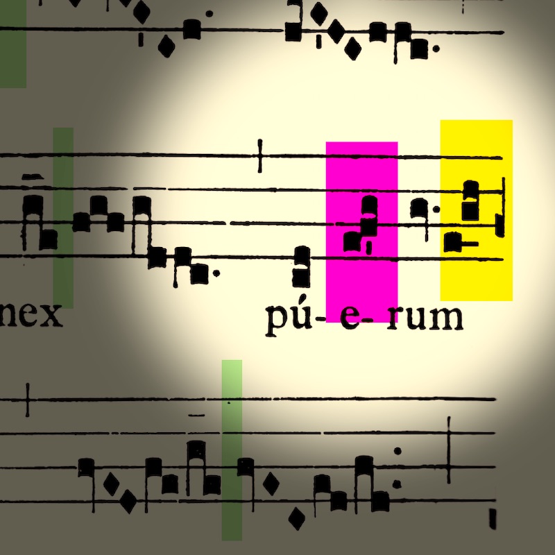 Sneaky “Salicus” Statements by Solesmes