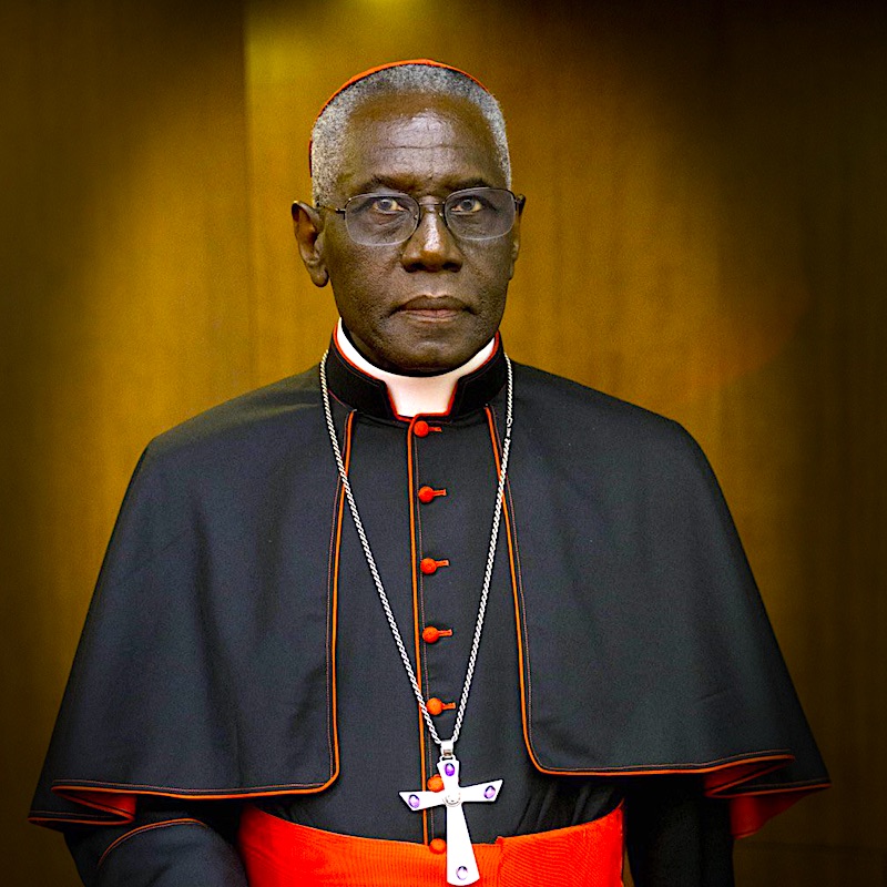 Crd. Roche Breaks His Silence Re: Cardinal Sarah