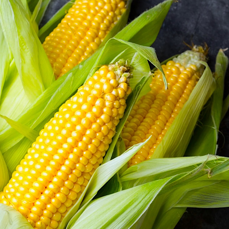 “Corn” From Heaven?